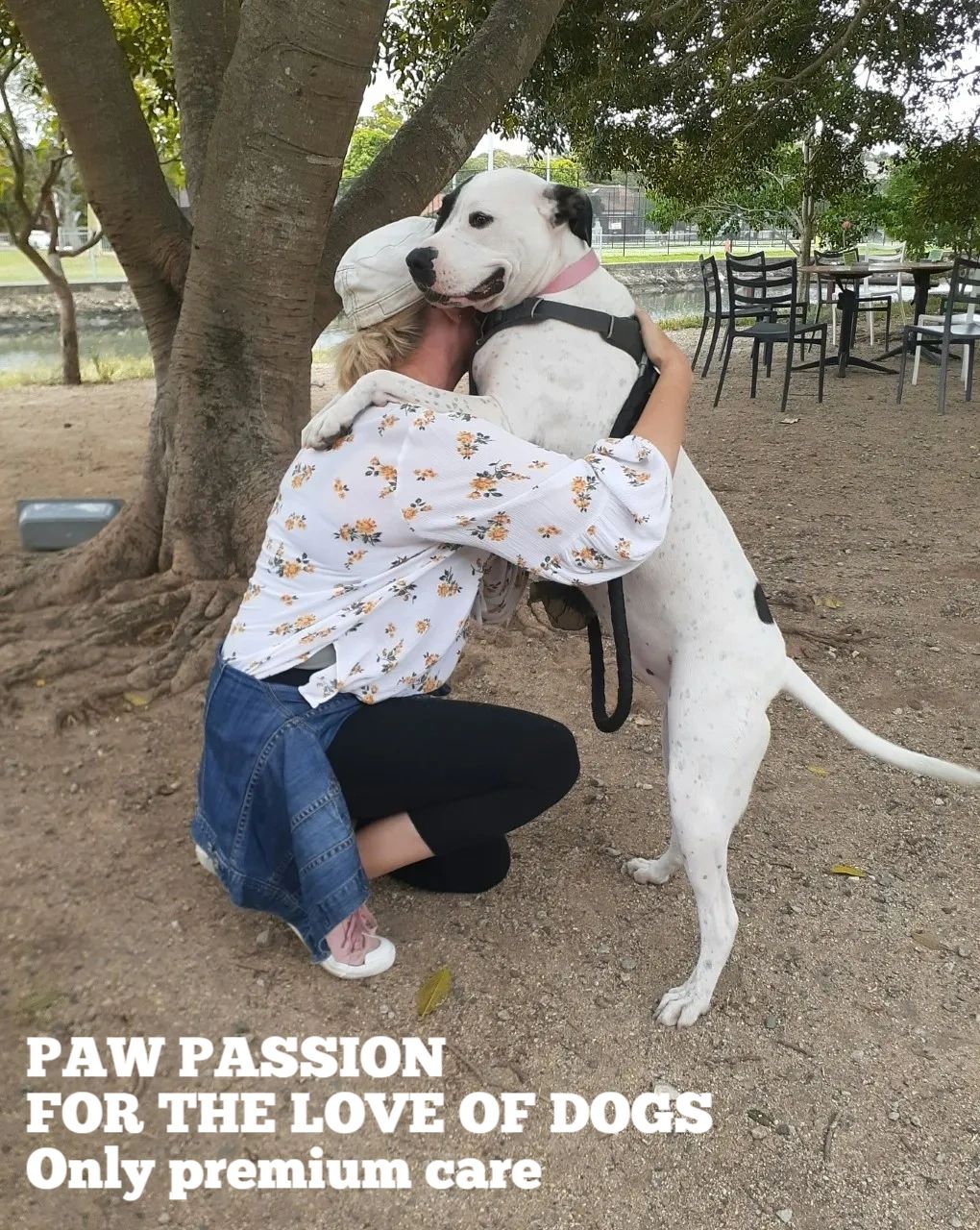 Paw Passion - For the Love of Dogs