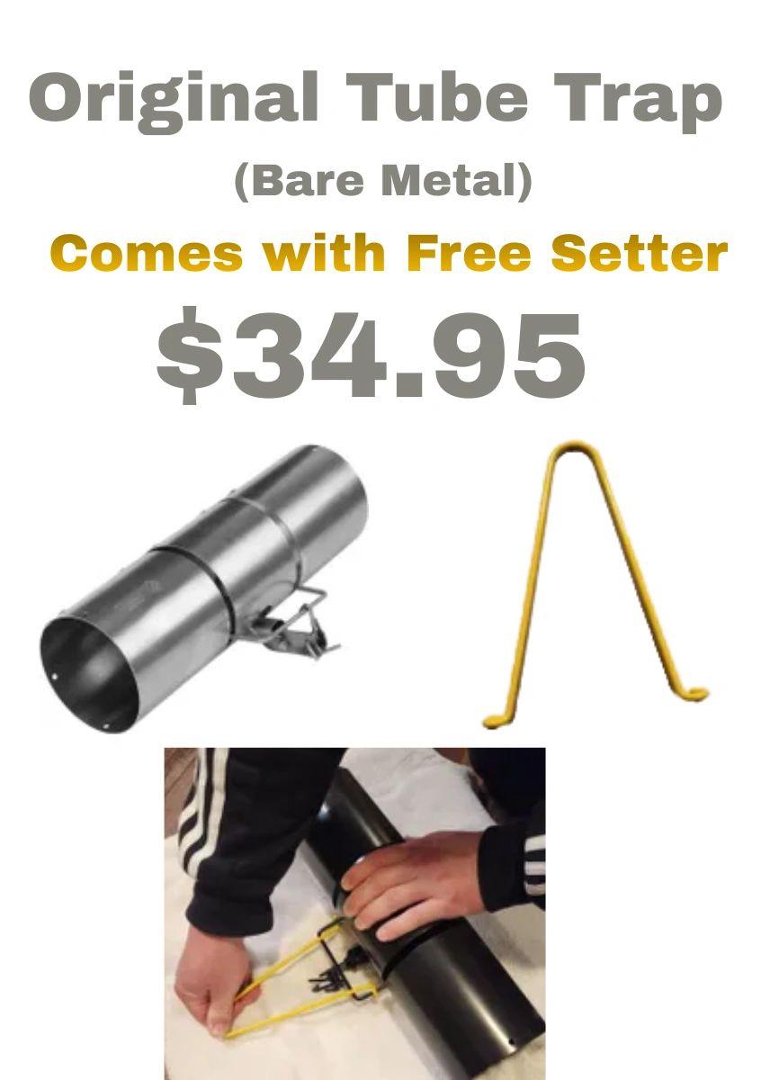 The Original Tube Trap (Bare Metal) (Comes with a FREE Setter)