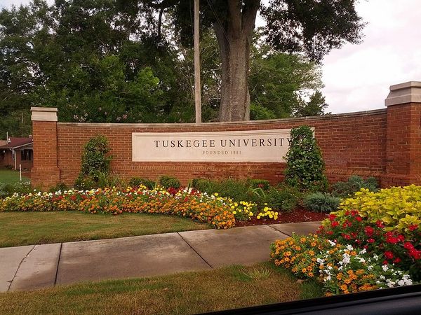 Tuskegee University Student Government Alumni