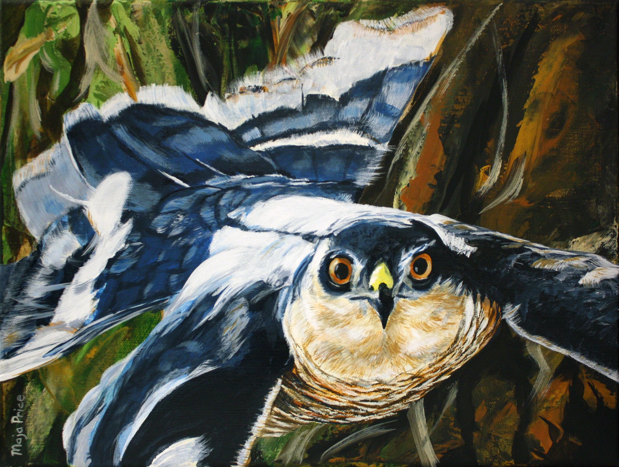 Maja Price, Artist - Paintings, Pet Portraits, Artist