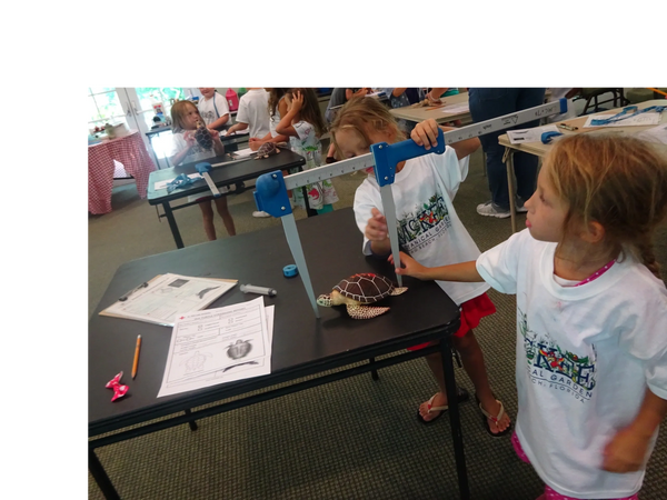 Fun and Educational STEAM Projects for Students 7-12 years