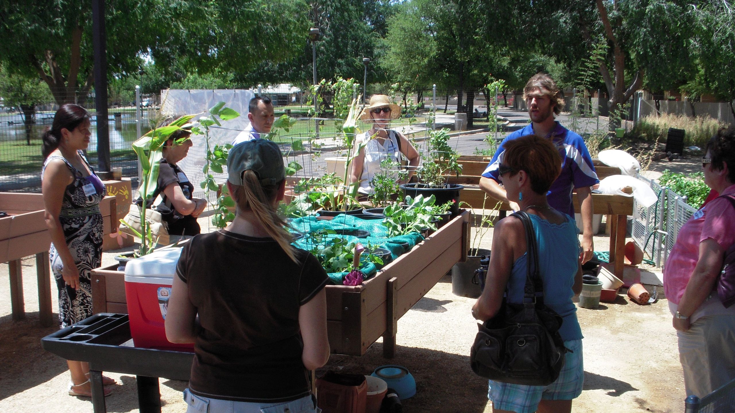 Arizona Partnership for Healthy Communities