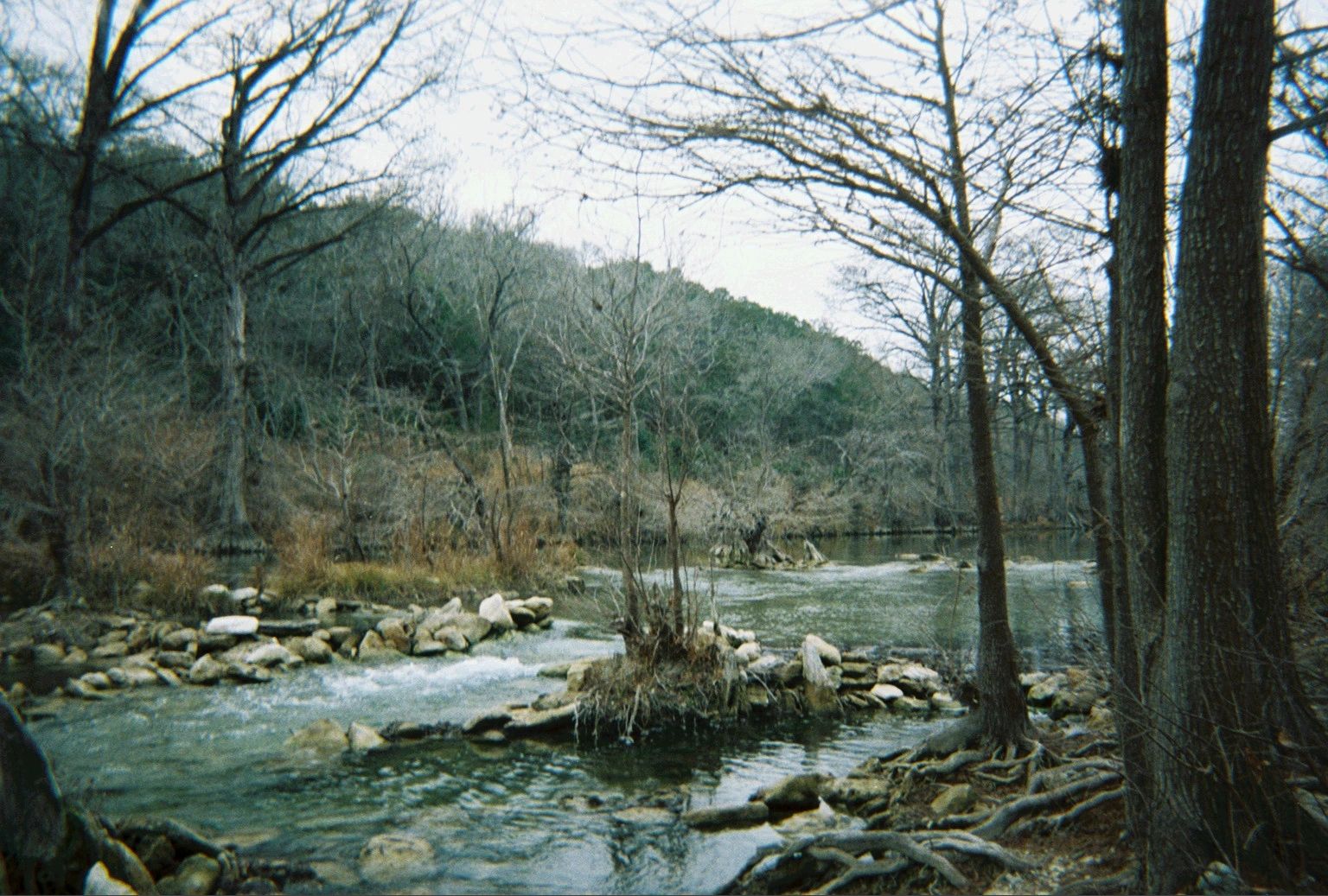 Cedar Oak Mesa Property Owners Association