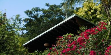 Treehouse Villas St Lucia - St. Lucia Villa, Guest House, St Lucia