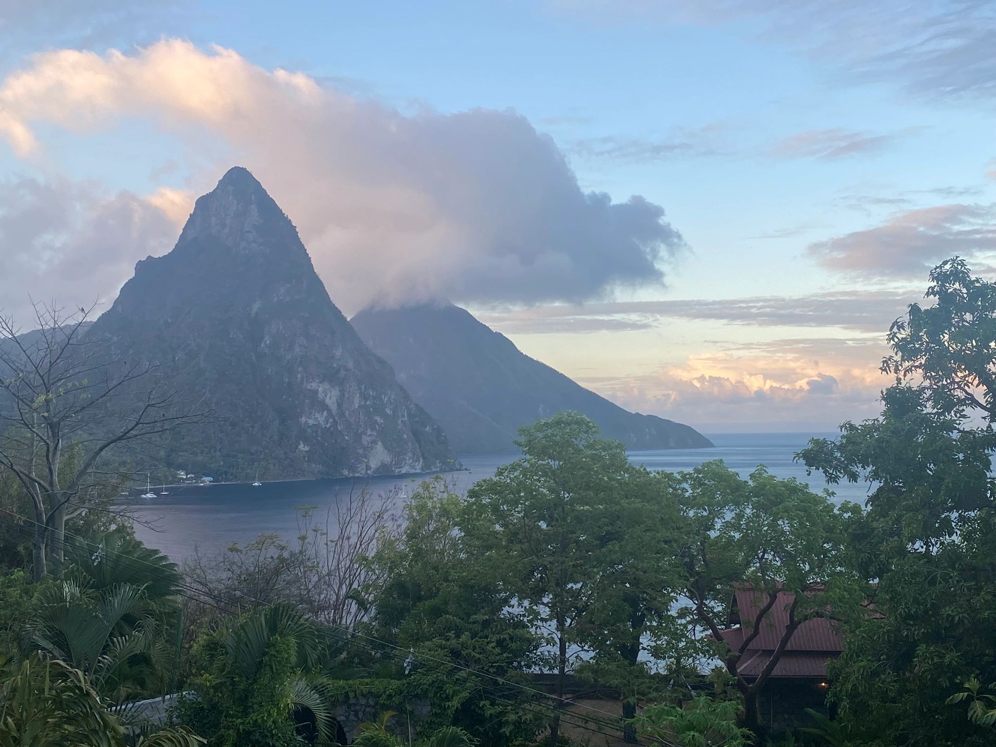 Treehouse Guest Experiences 2024 (Top Places to Stay in St Lucia)