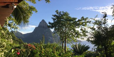 Treehouse Villas St Lucia - St. Lucia Villa, Guest House, St Lucia