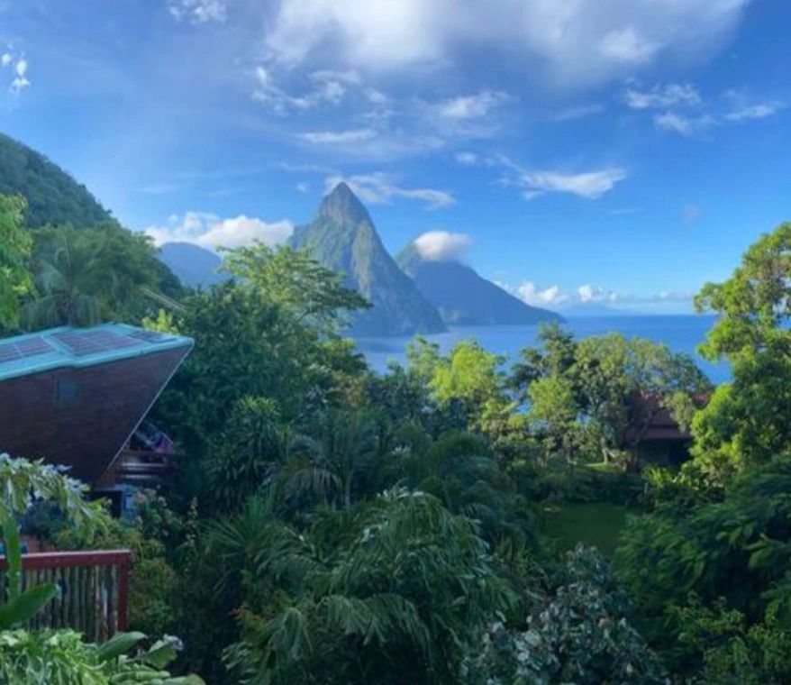 Treehouse Villas: Stay, Play, & Explore Summer St. Lucia Special