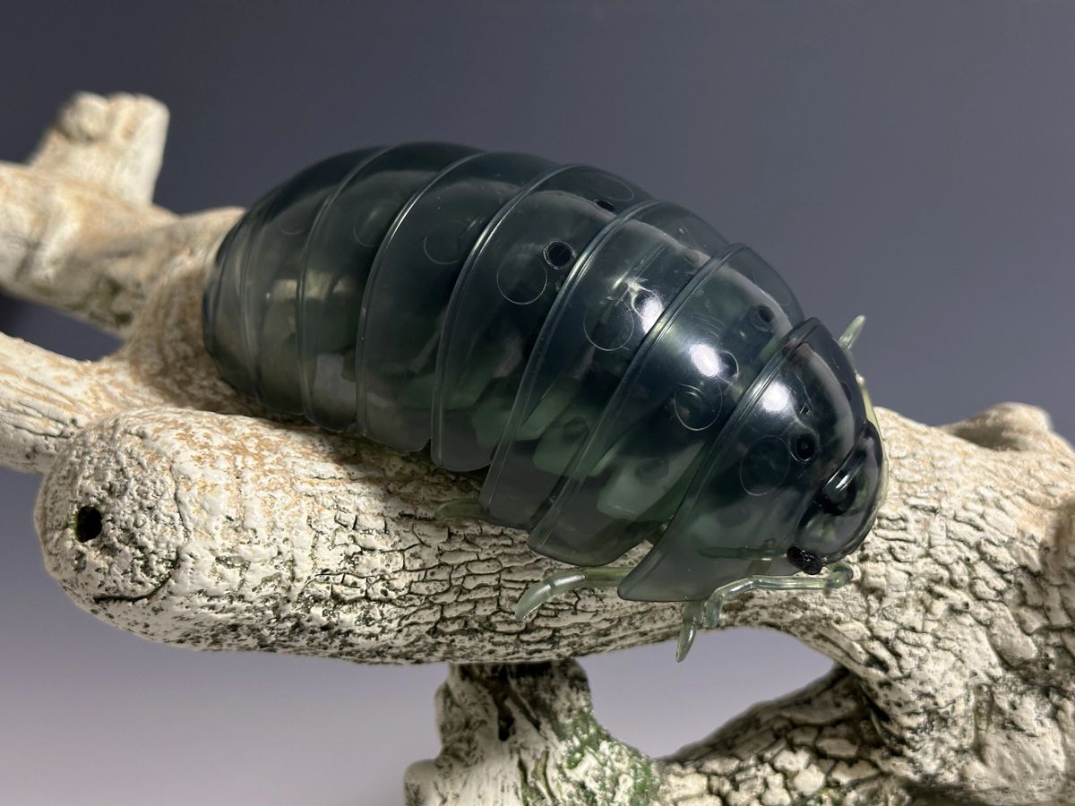 Japanese Isopods: Bandai Transparent