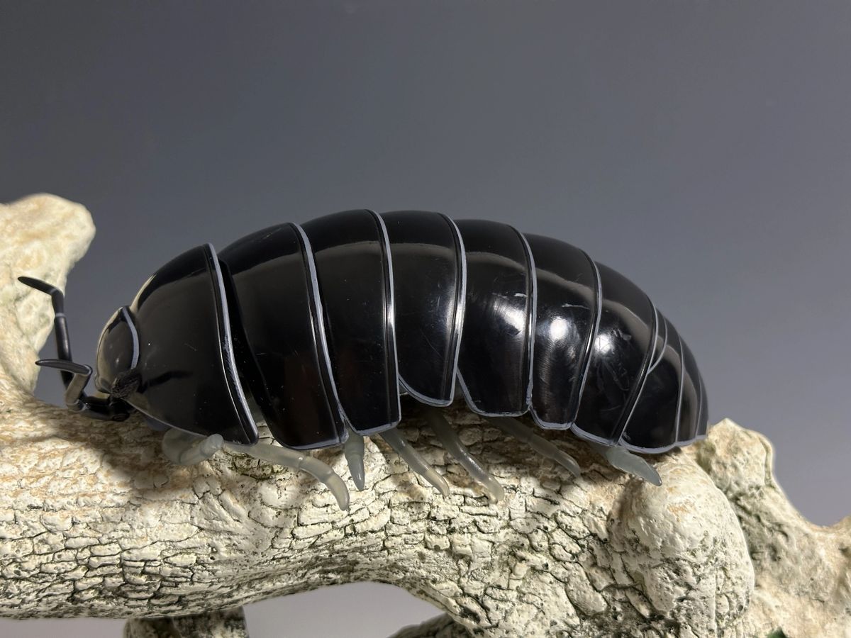 Japanese Isopods: Bandai White Highlight
