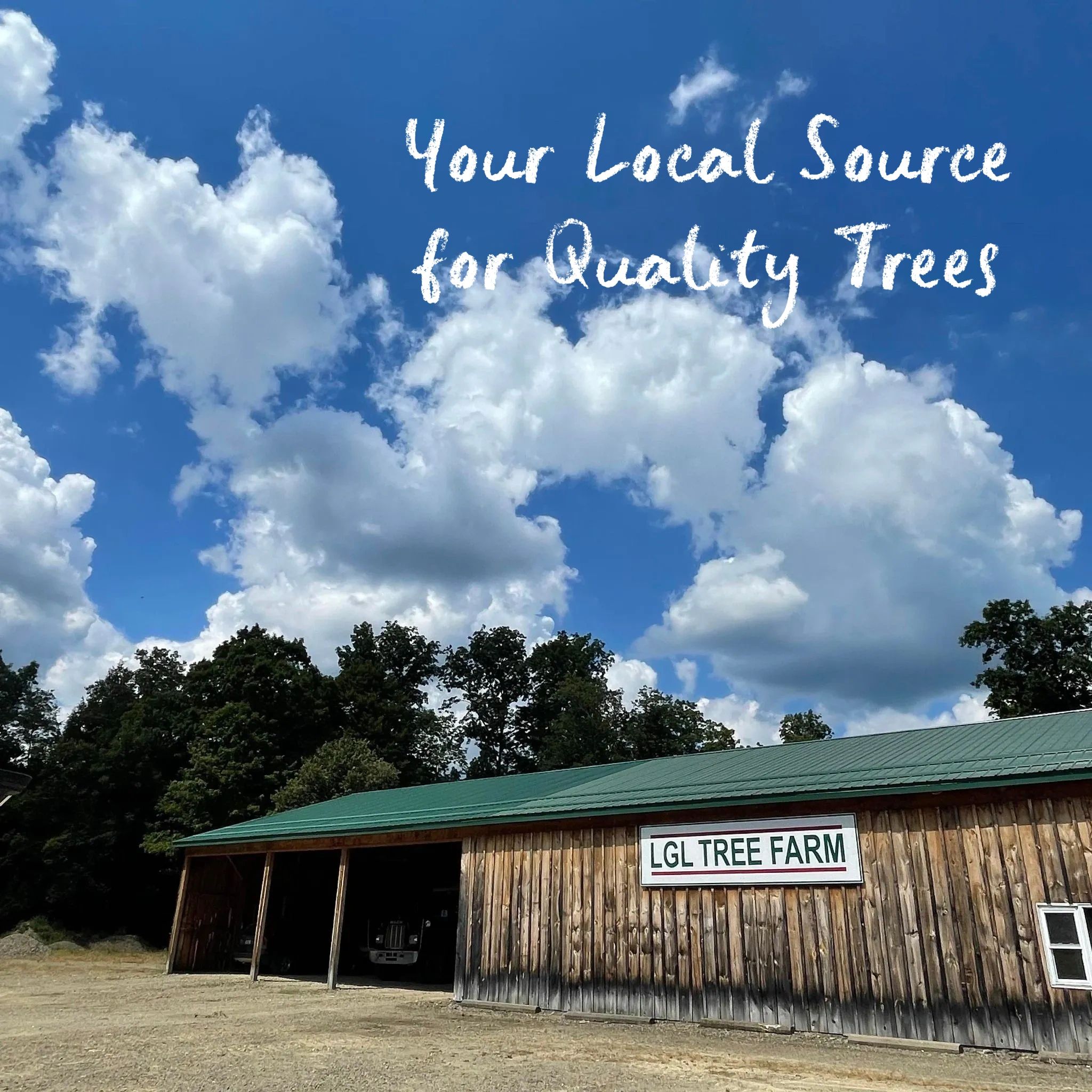 LGL TREE FARM - Home
