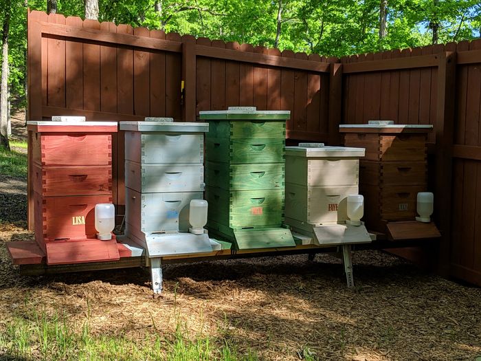 Central AL Honey | Central Alabama Honey & Apiary, LLC