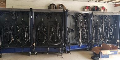 Draft Horse Sale