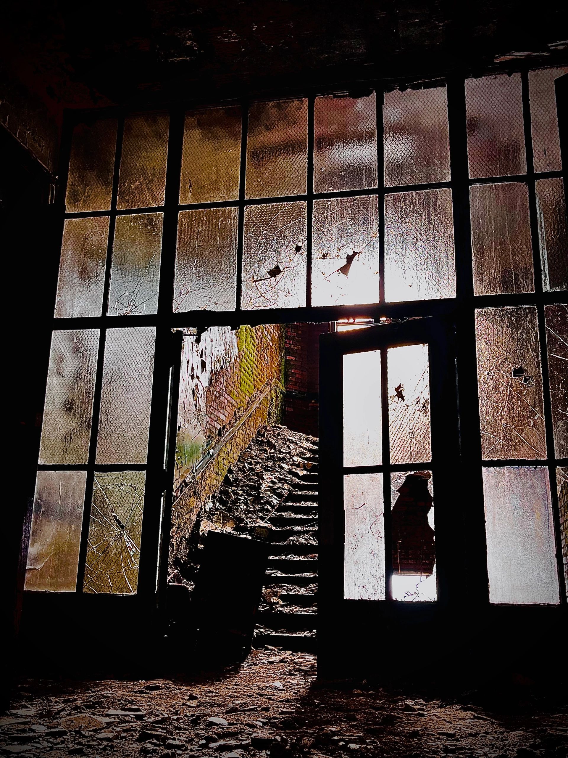 Eclectic Synergy LLC