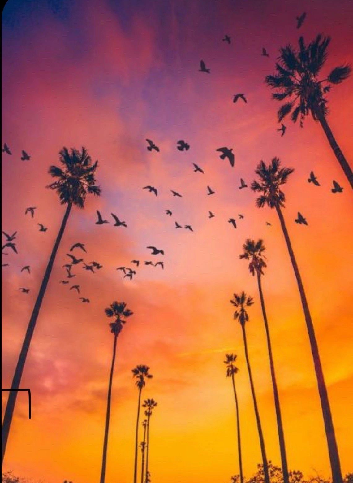 Yer Not Down - Yer Not Down Tacos