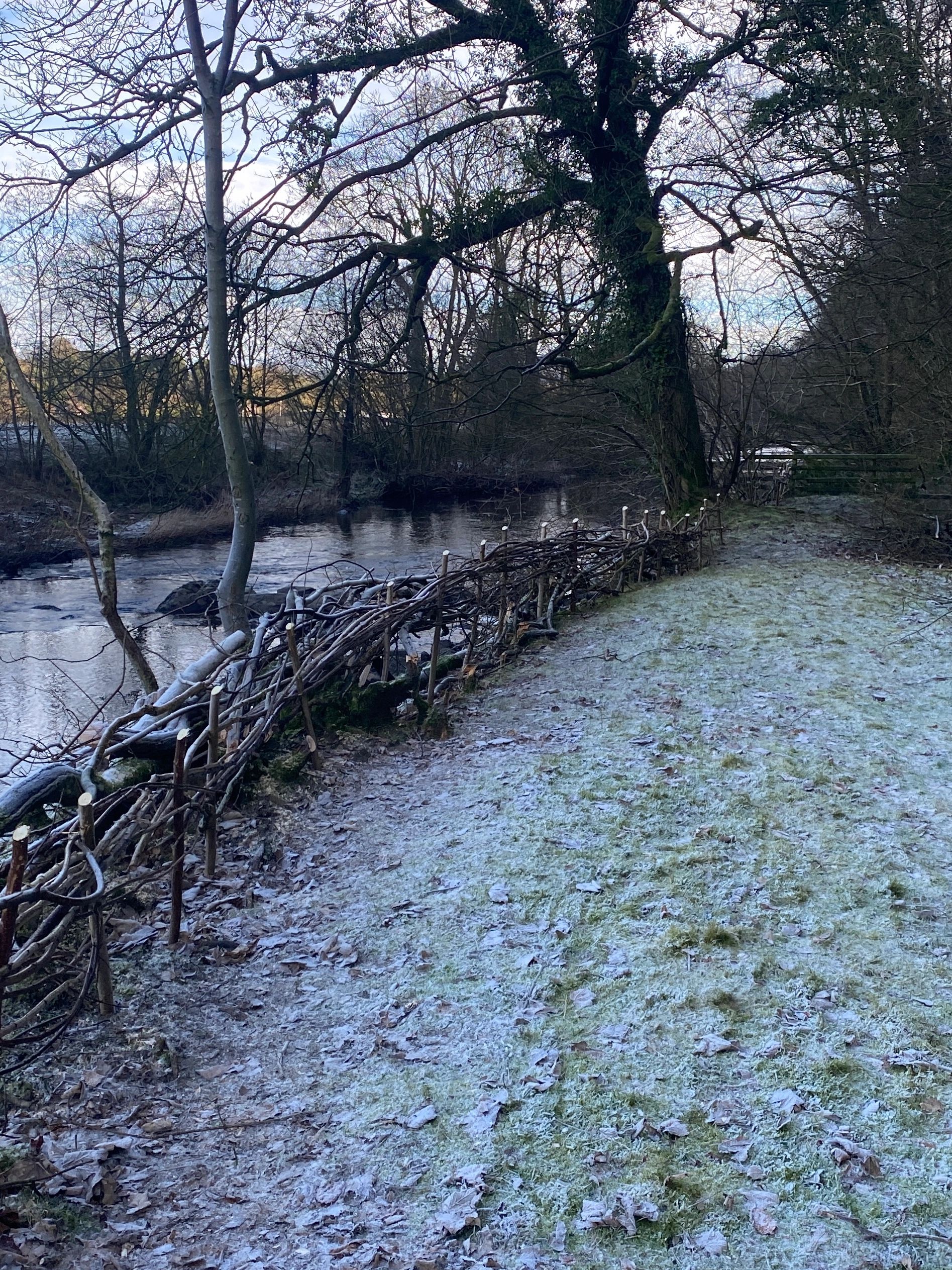 Harry Prime Projects Ltd