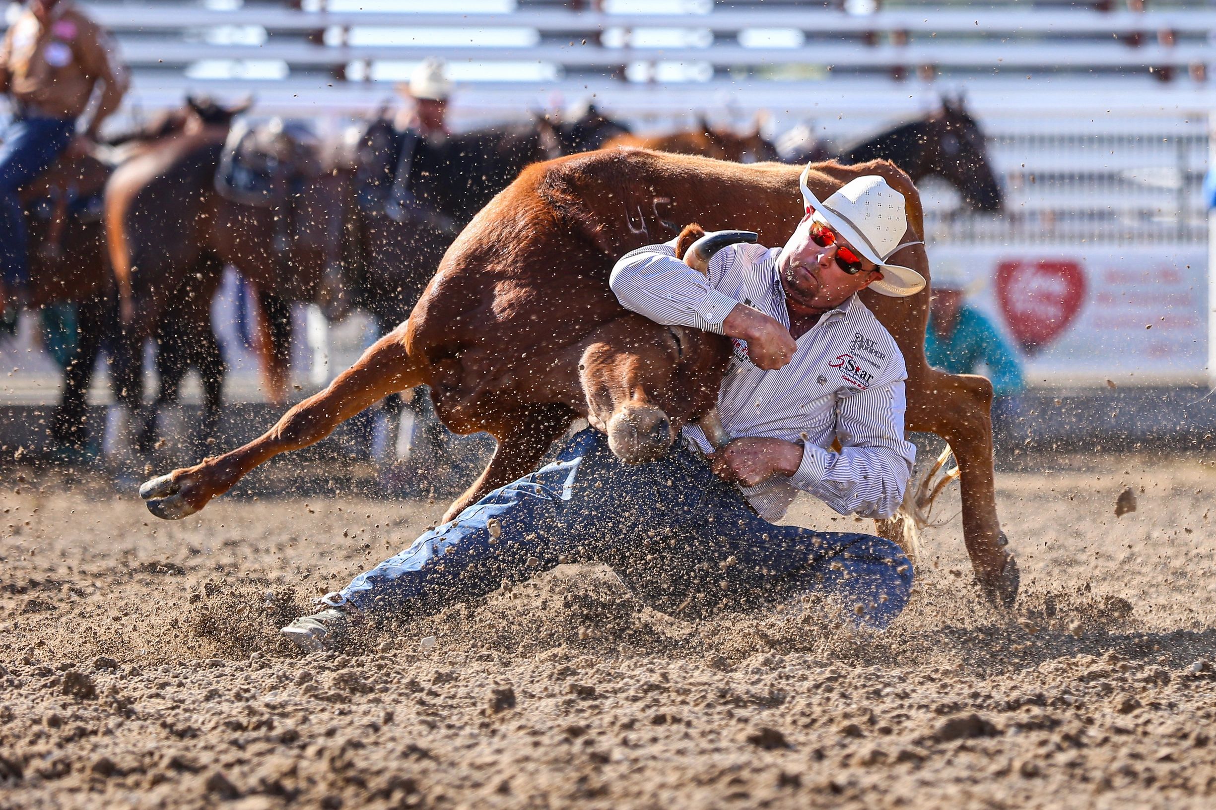 Stan Branco Professional Steer Wrestler