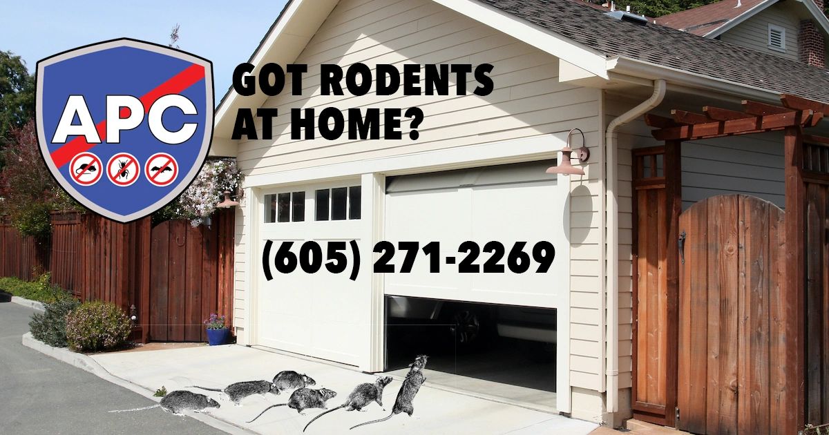 Got Rodents at Home? Call us for Sioux Falls rodent control.