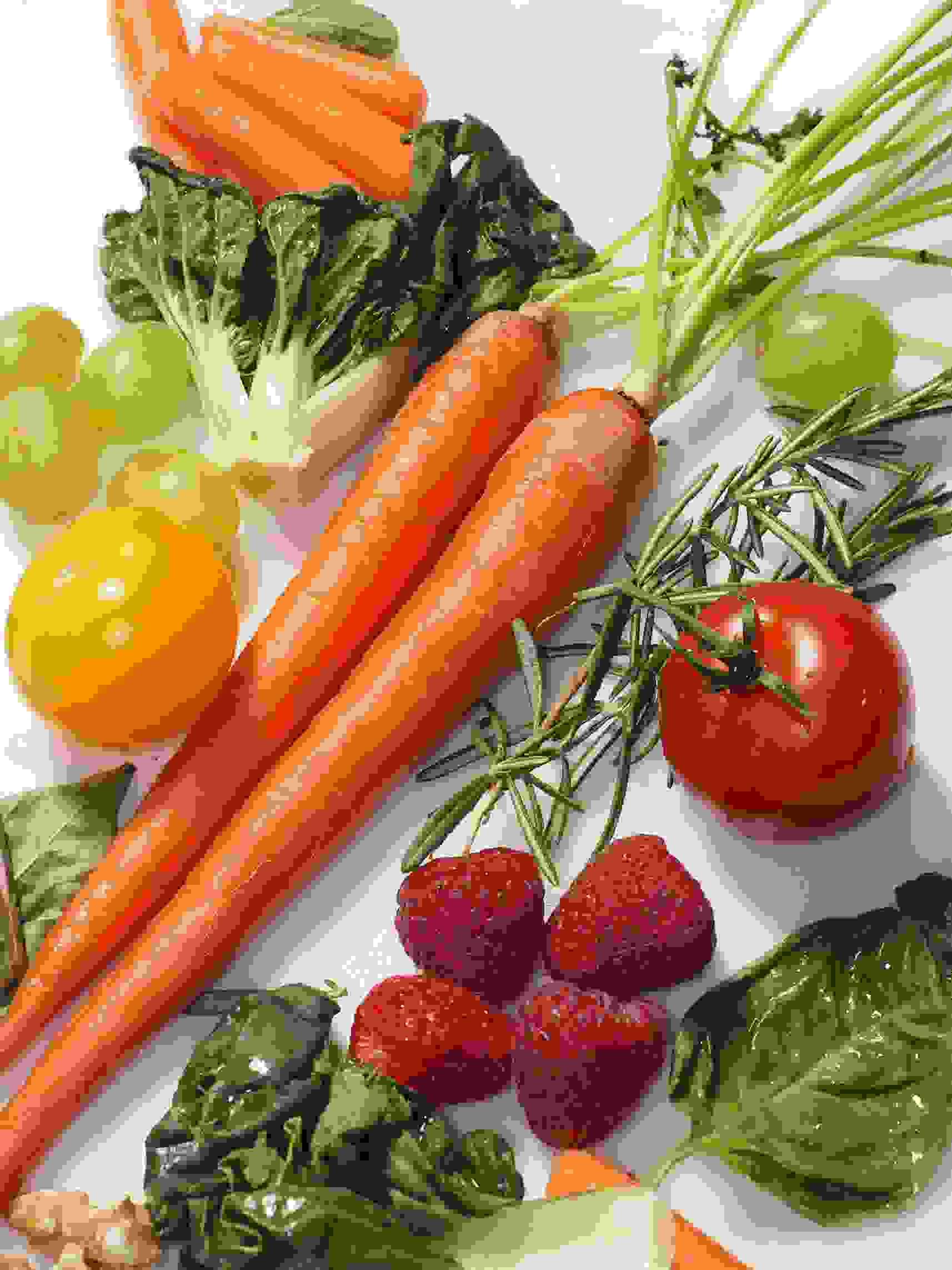 Home [freshblends910.com]