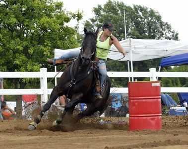 About the team | Carmen Franck Flippin, DVM