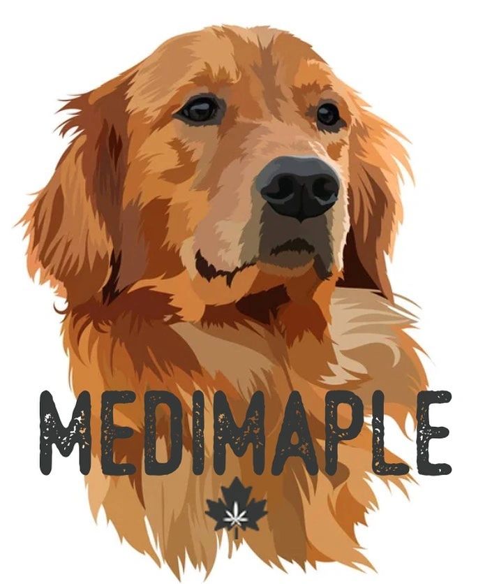 MediMaple - Cbd, Infused Maple Syrup