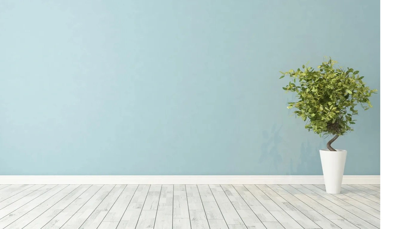 canopycounselingcenter.com