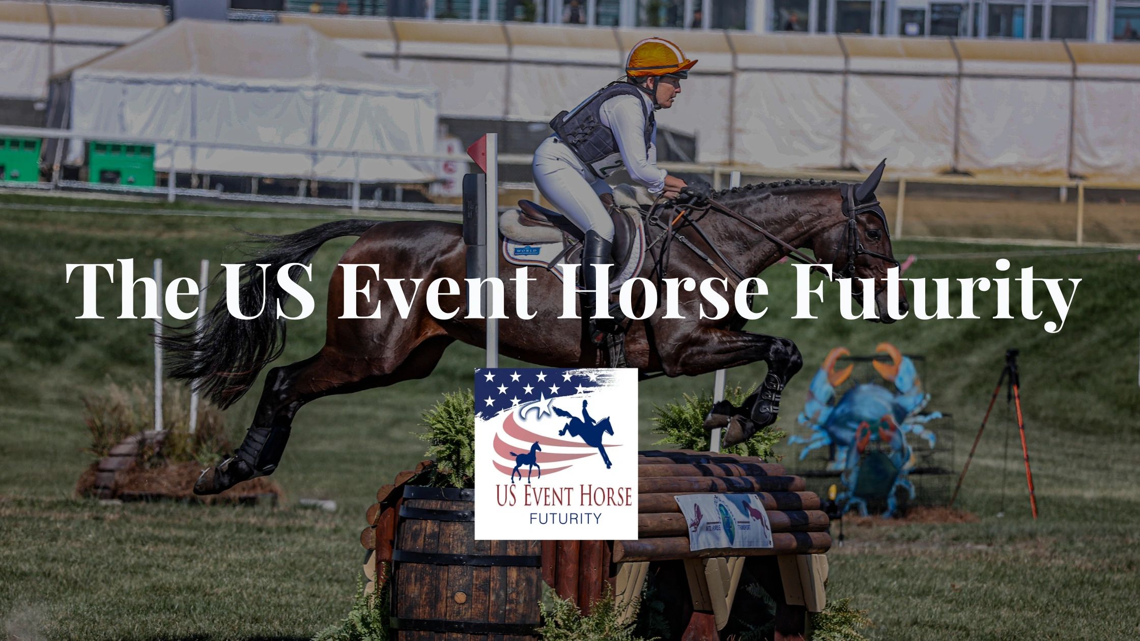 US Event Horse Futurity - Home