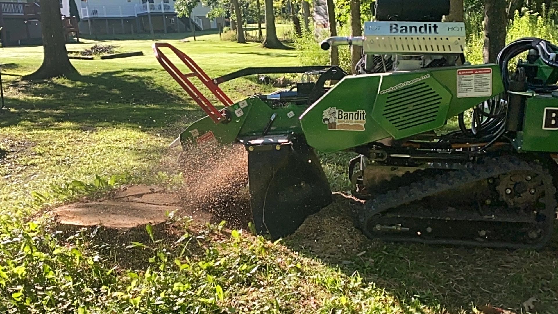 Low cut stump grinding