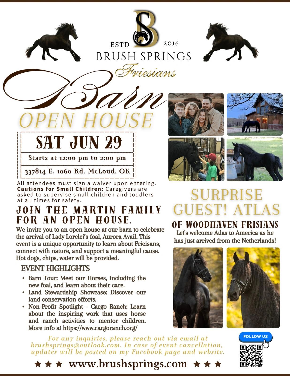 Melody Martin Welcomes you to Brush Springs Friesians
