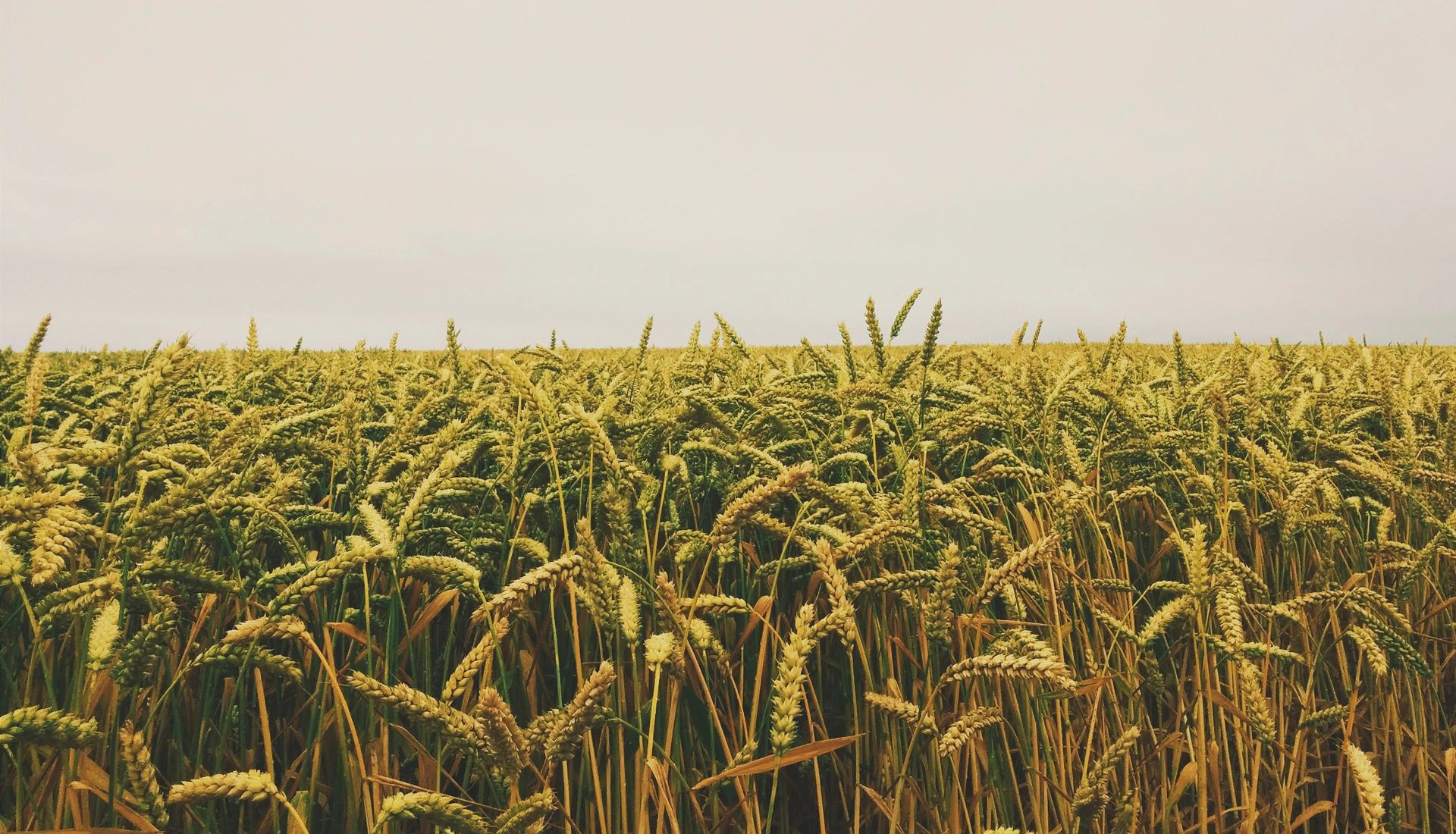 HOME [soag-equipment.com]