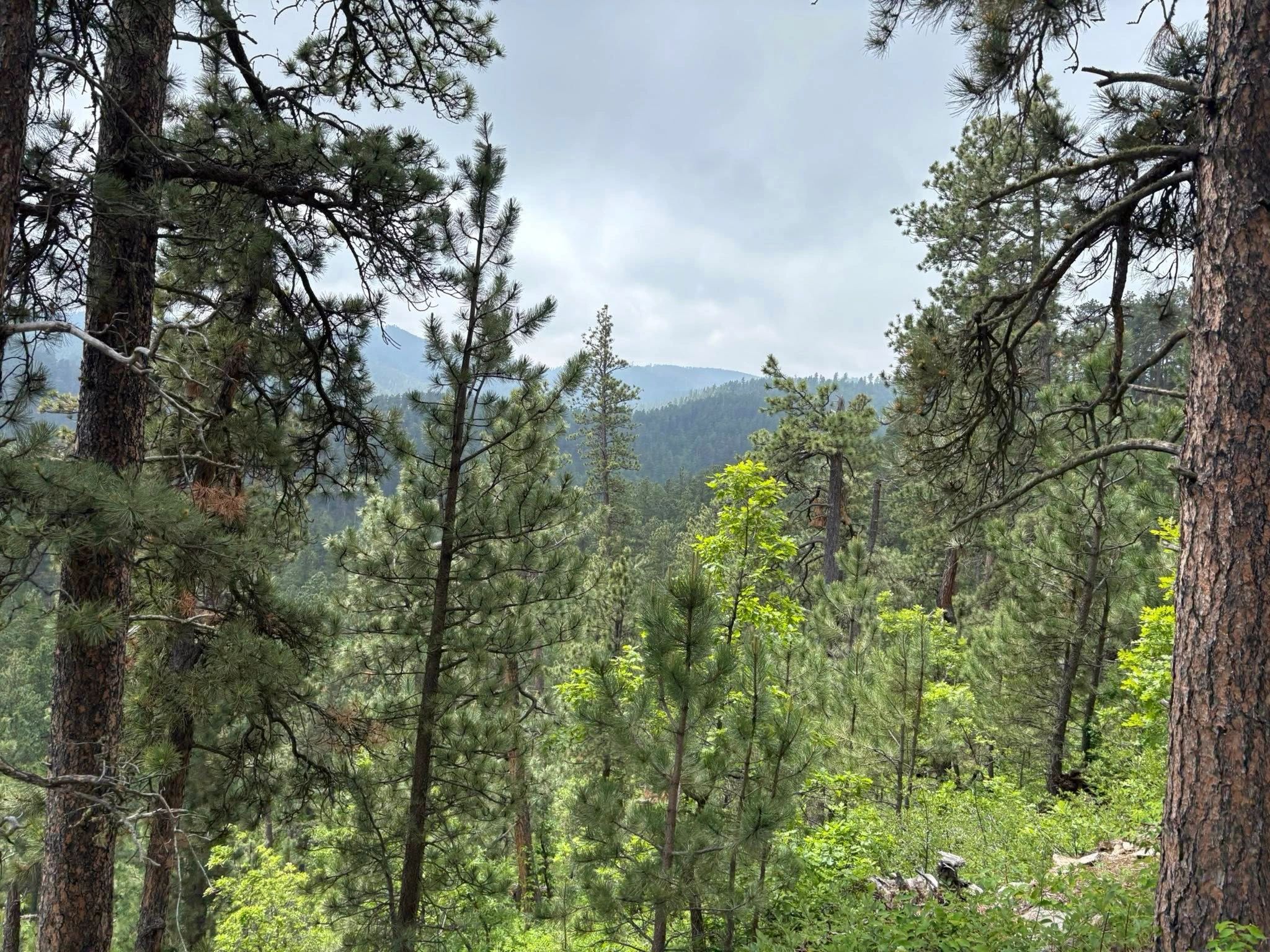 Ft Meade Endurance Ride