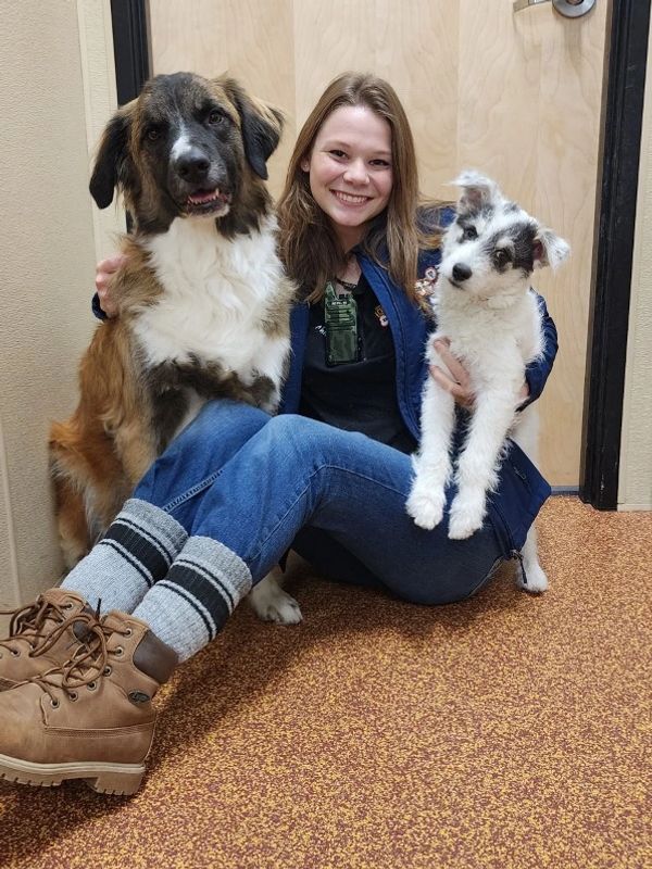 Tempe Dogs 24/7 - Dog Daycare, Dog Boarding
