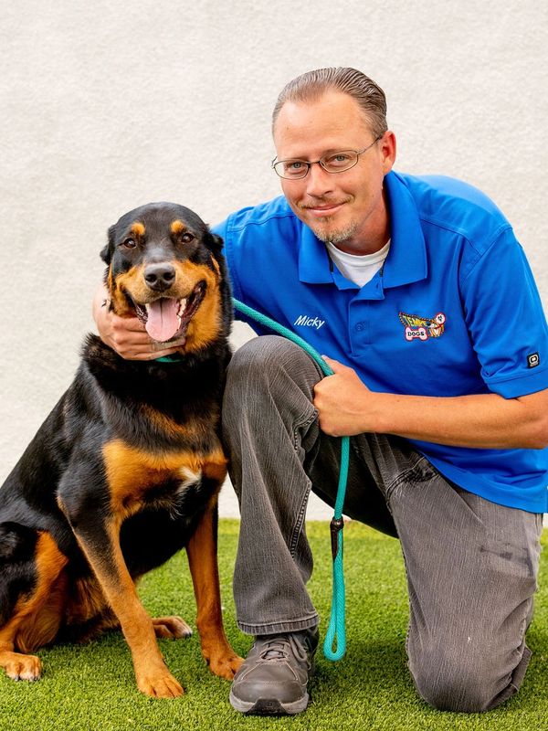 Tempe Dogs 24/7 - Dog Daycare, Dog Boarding