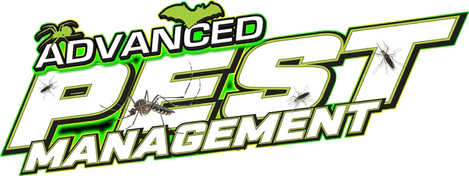 Pest Control - Advanced Pest Management