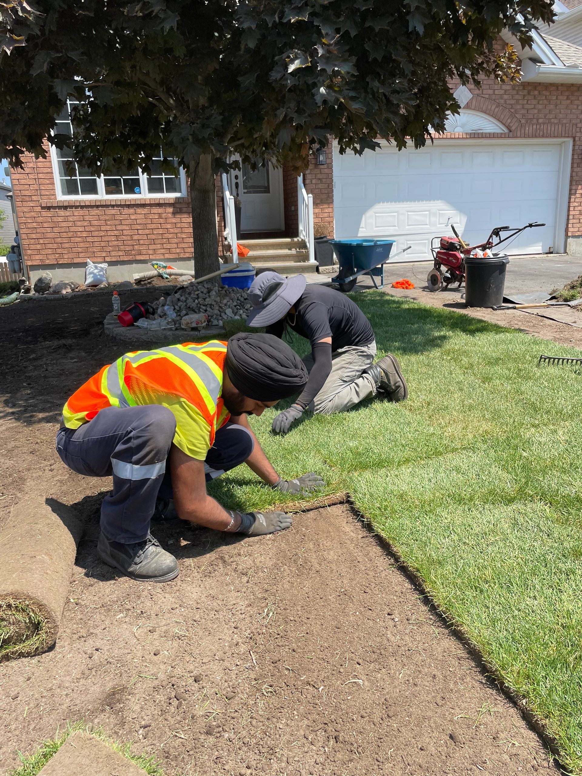 Professional Lawn Maintenance Services