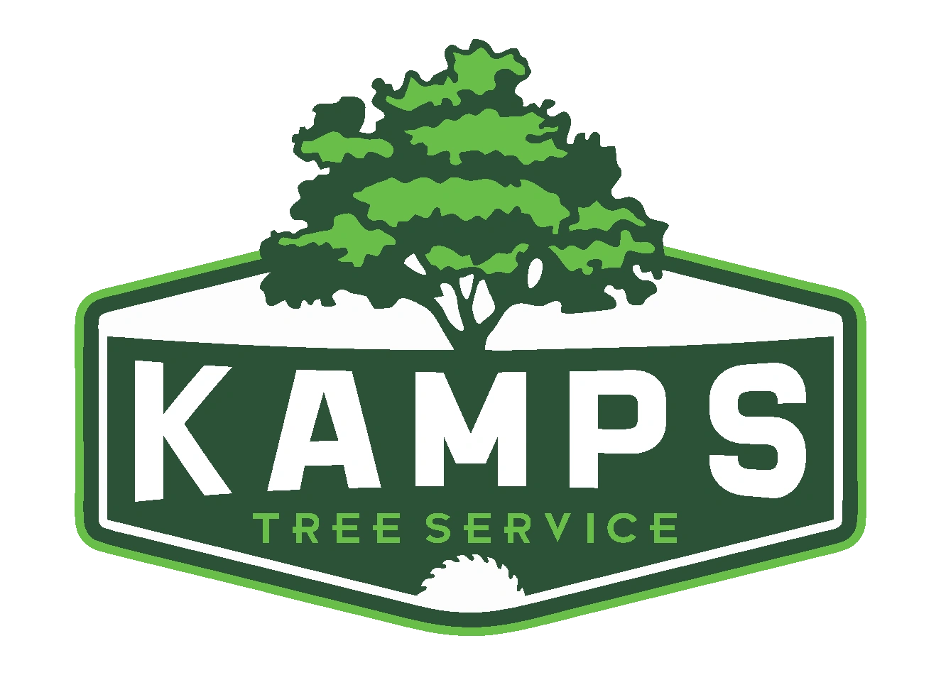 Professional Tree Service - Expert Tree Care | Kamps Tree Service