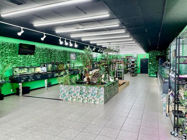 Raising Reptiles: Your Michigan Reptile Store for Kids' Parties