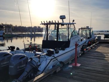 Island Pursuit Sport Fishing in Comox, British Columbia