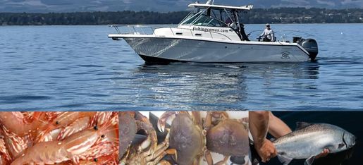 Island Pursuit Sport Fishing in Comox, British Columbia