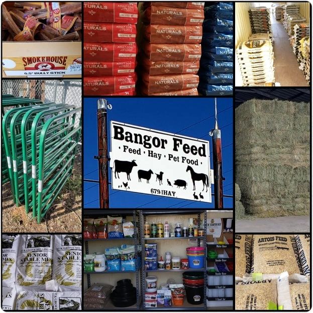 Feed Store in Bangor - Bangor Feed