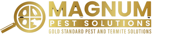 Expert Termite Services | Magnum Pest Control