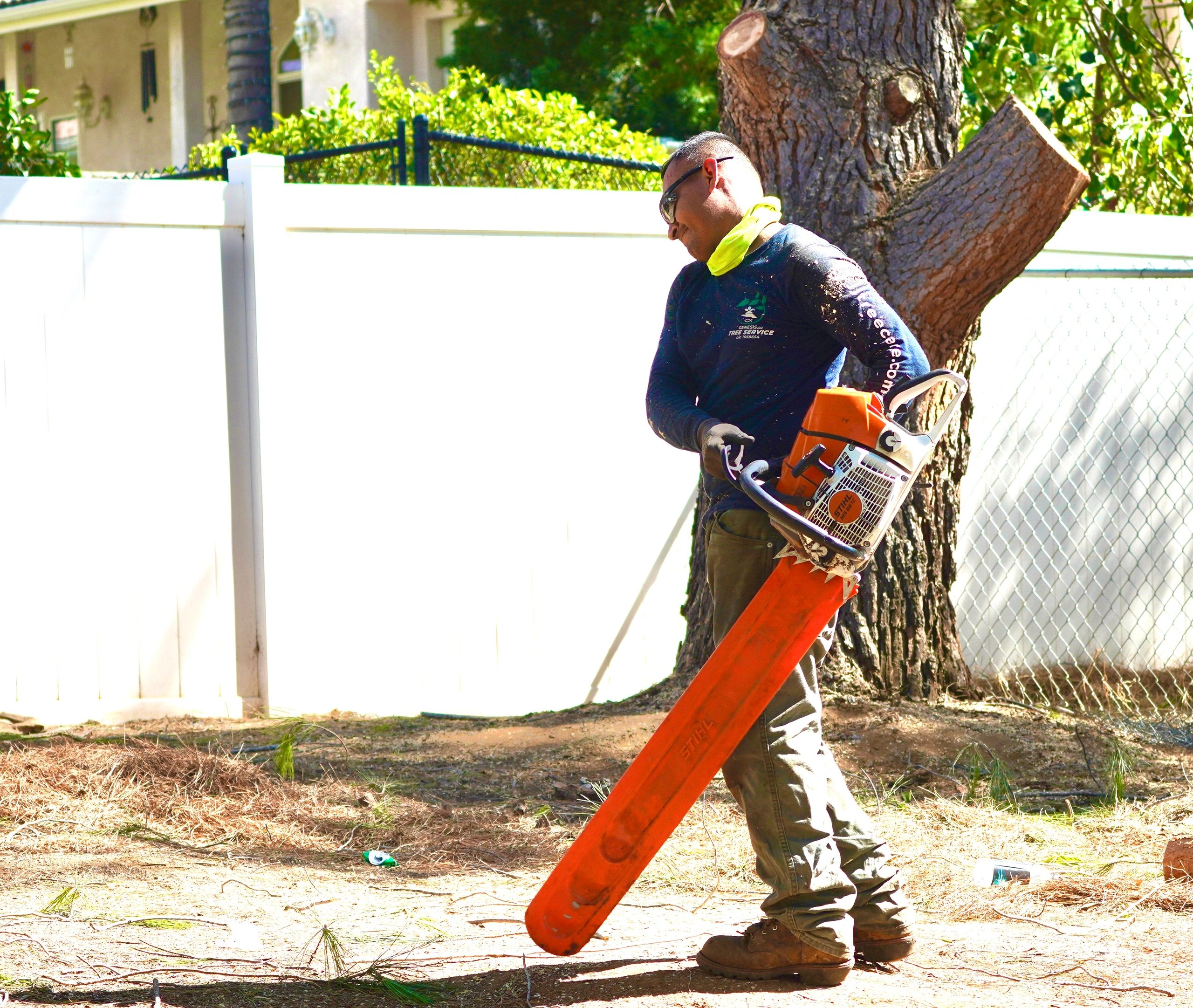 Genesis Tree Service