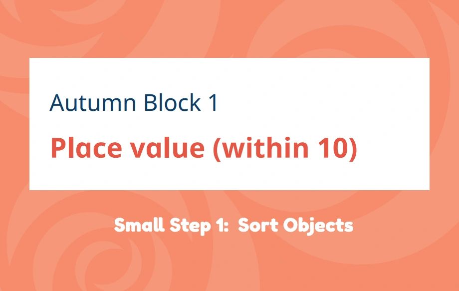 Y1 Place Value - Small Step 1: SORT OBJECTS