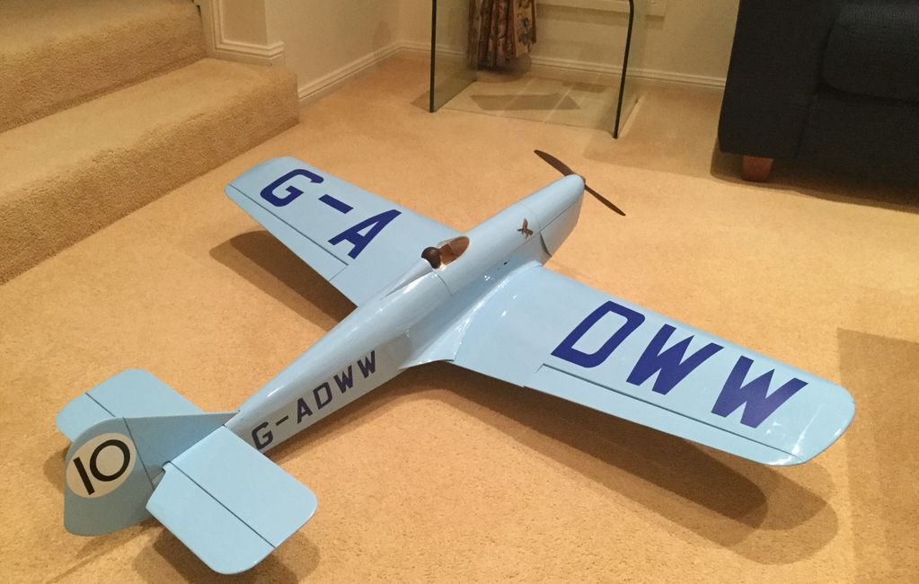 Miles Sparrowhawk | Timeless Wings