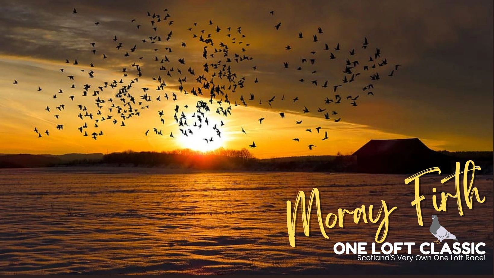 The Moray Firth Classic One Loft Race