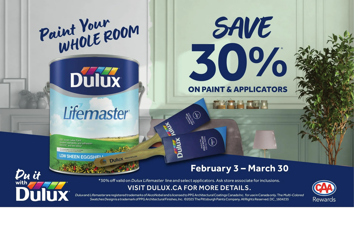 Dulux Thunder Bay - Paint, Sale