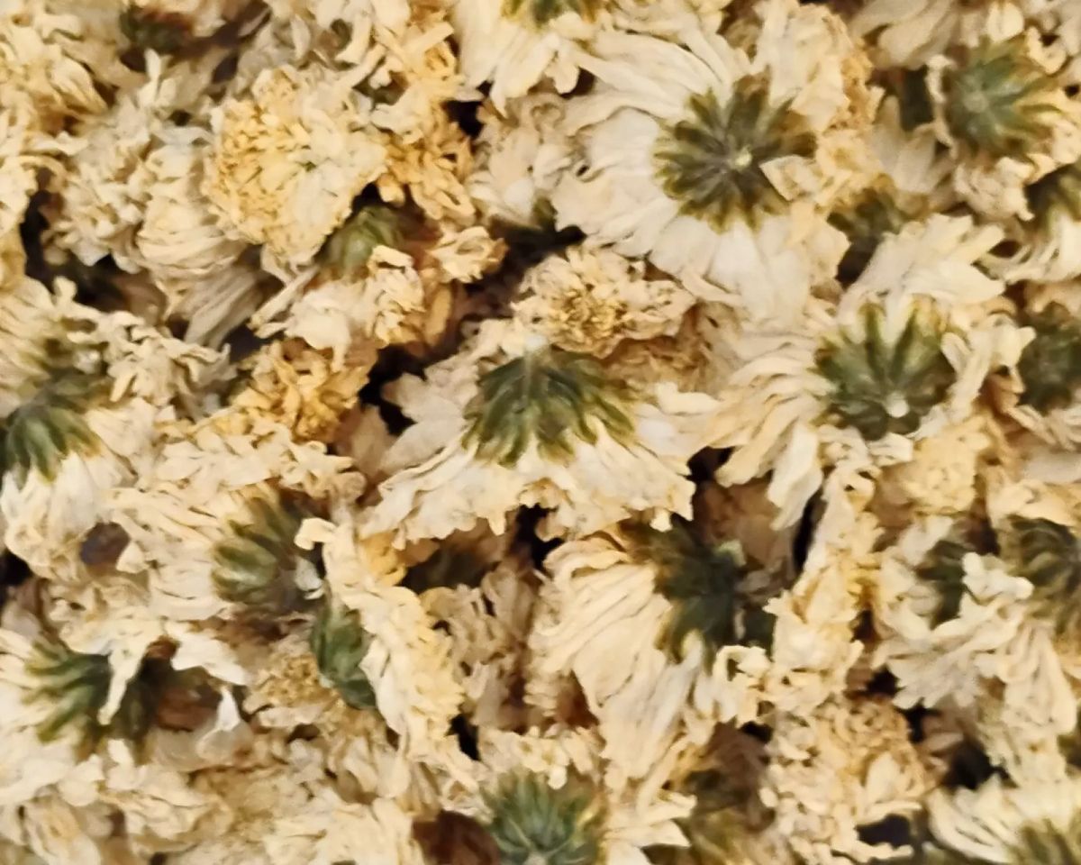 Chrysanthemum Flower Ju Hua 2 oz