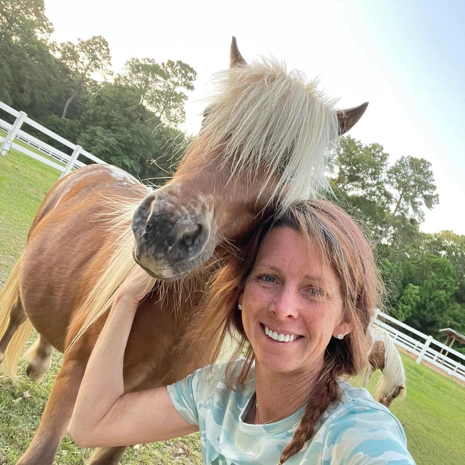 Big Horse Farm Company