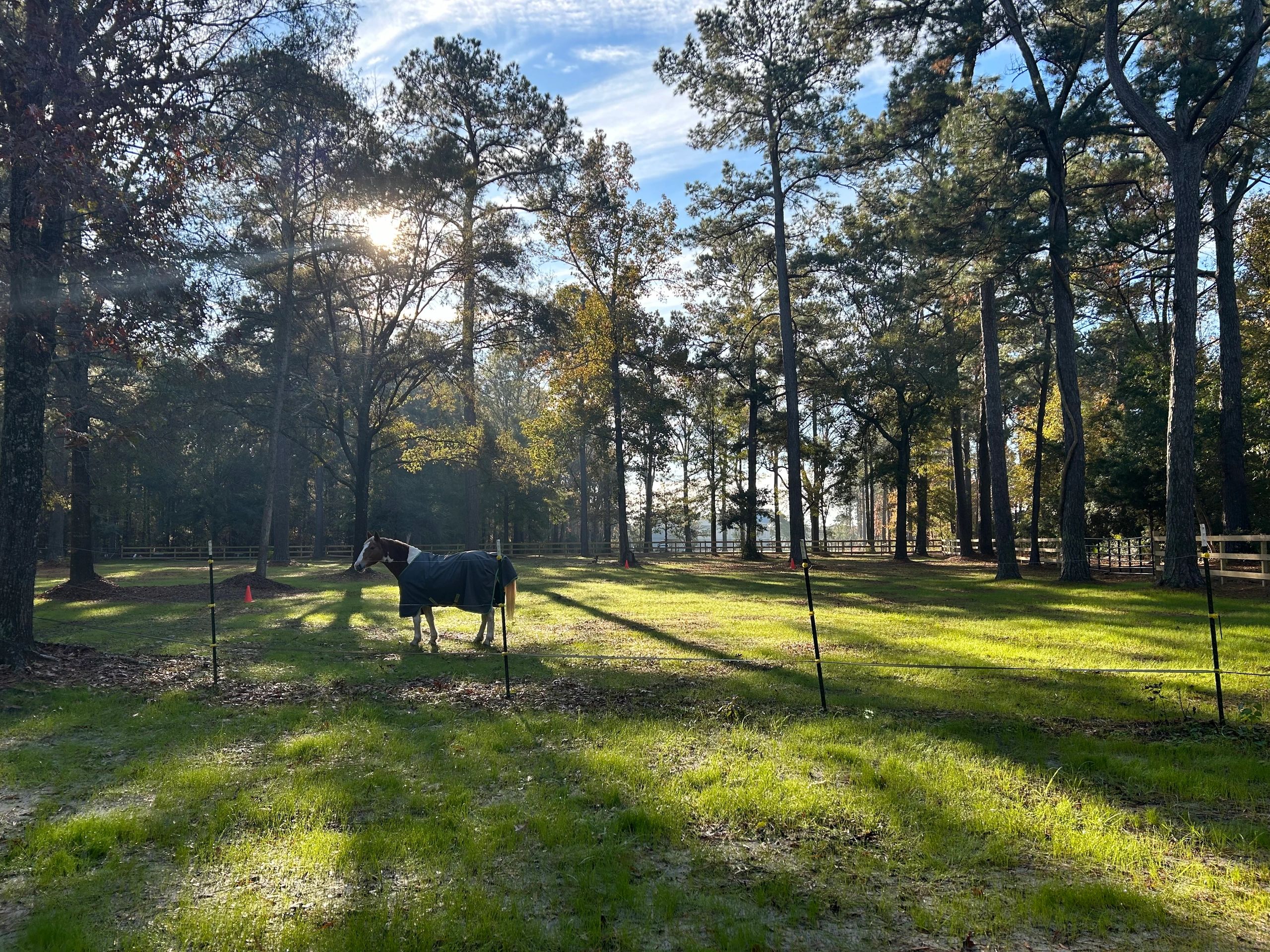 Nimble Woods Farm