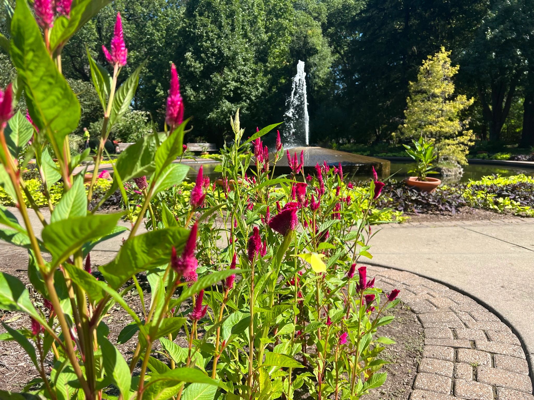 Our Parks & Facilities