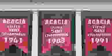 Indiana Acacia in Bloomington - Indiana Acacia